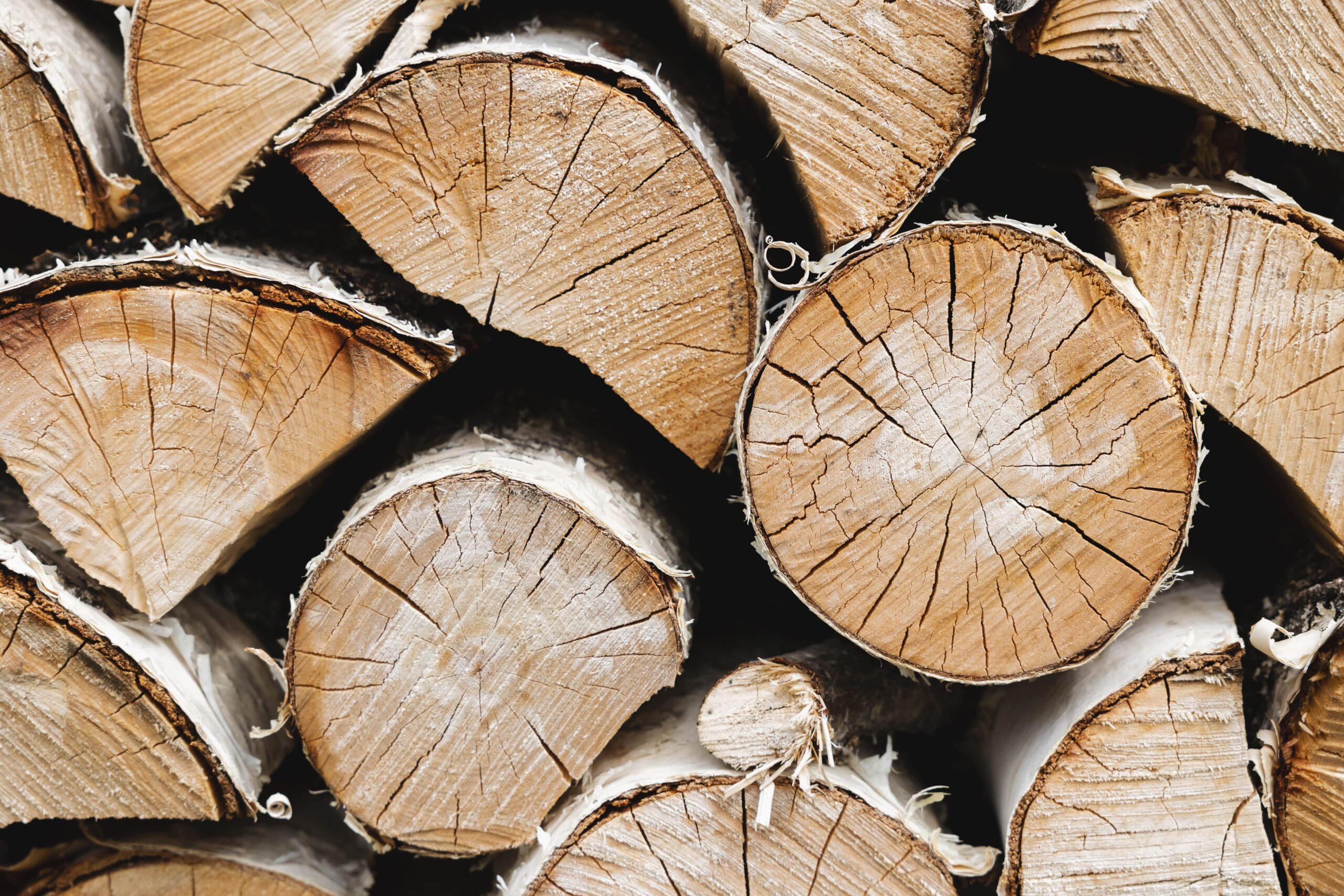 Warum lohnt sich der Kauf von kammergetrocknetem Feuerholz? – Onlydry